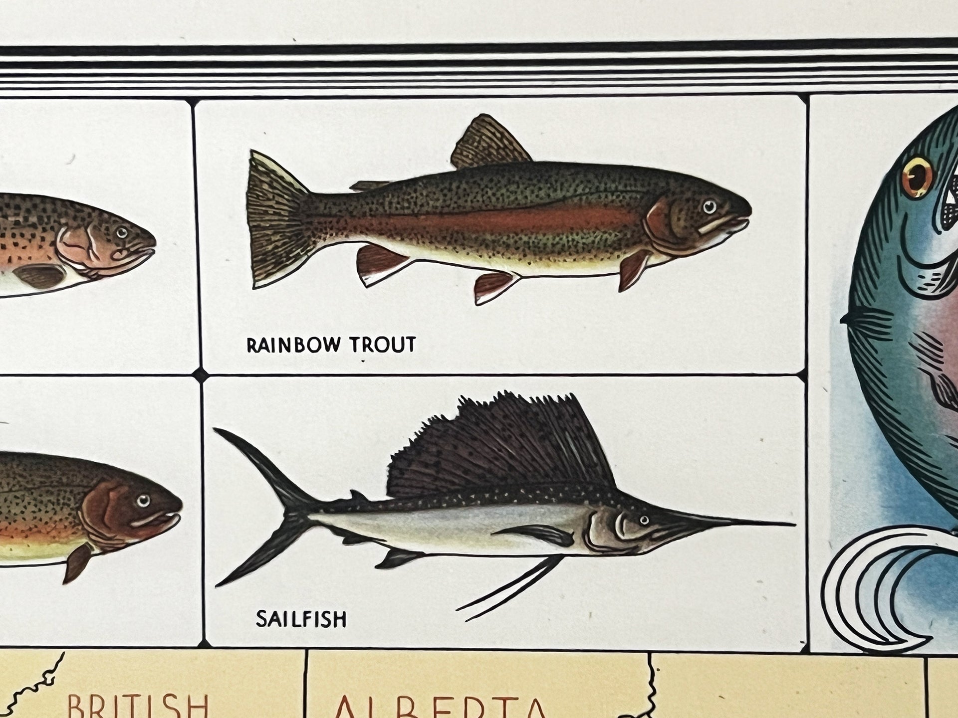 USA Fishing Map – GeoJango Maps