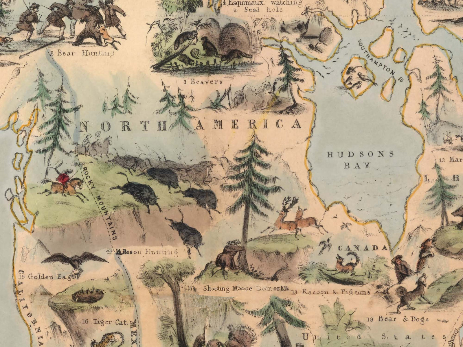 Zoological World Map – GeoJango Maps