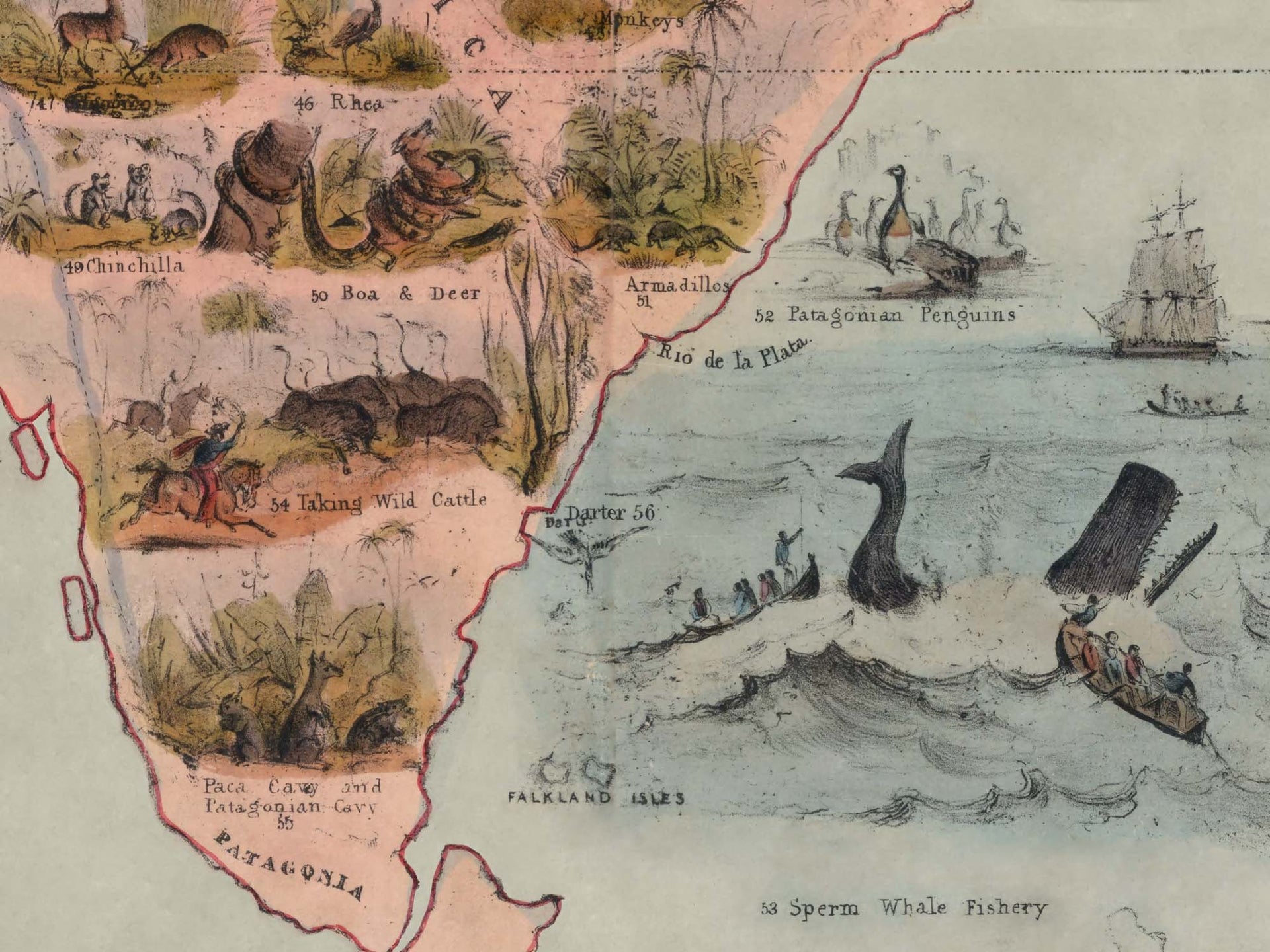 Zoological World Map – GeoJango Maps