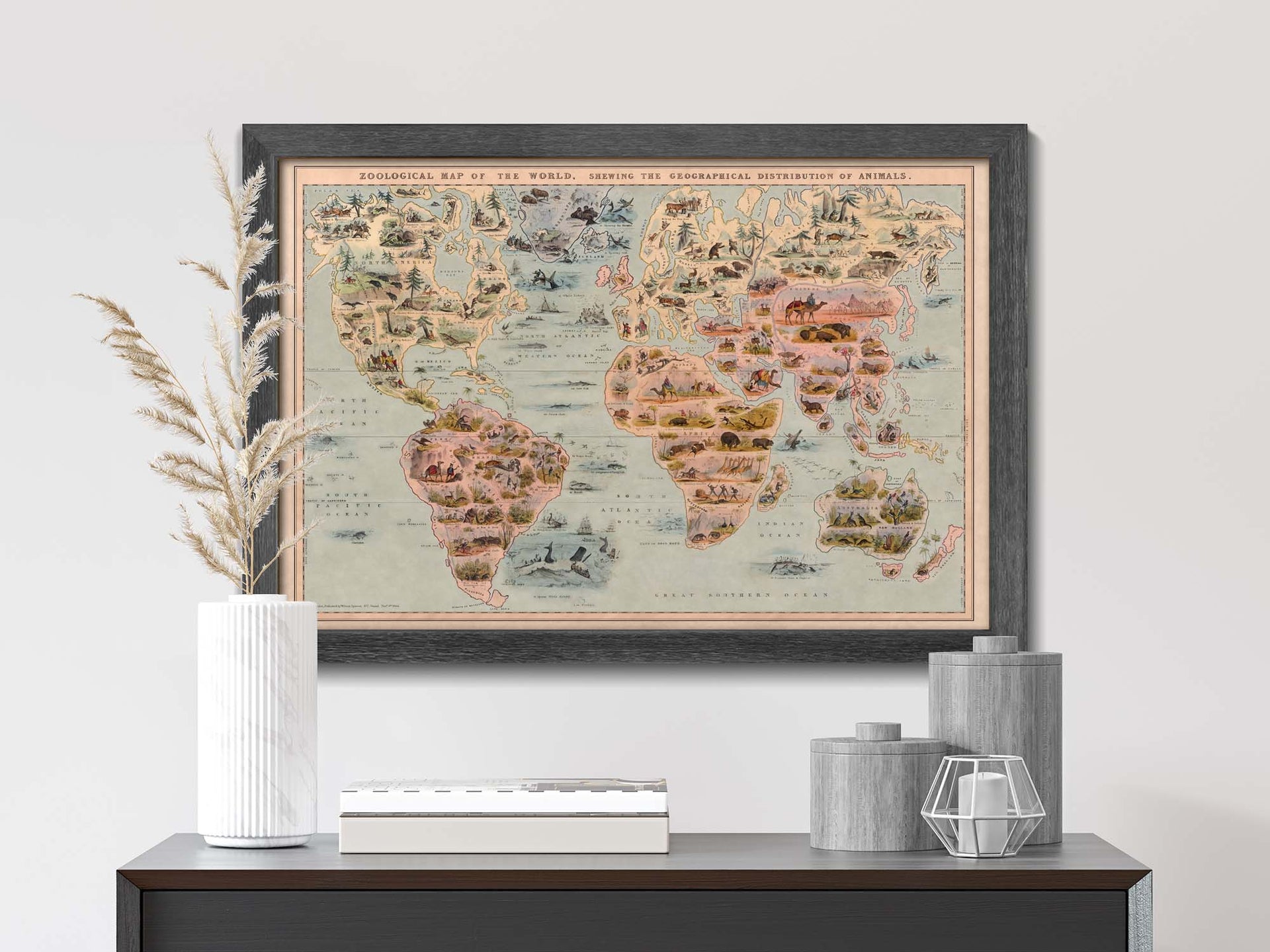 Zoological World Map – GeoJango Maps