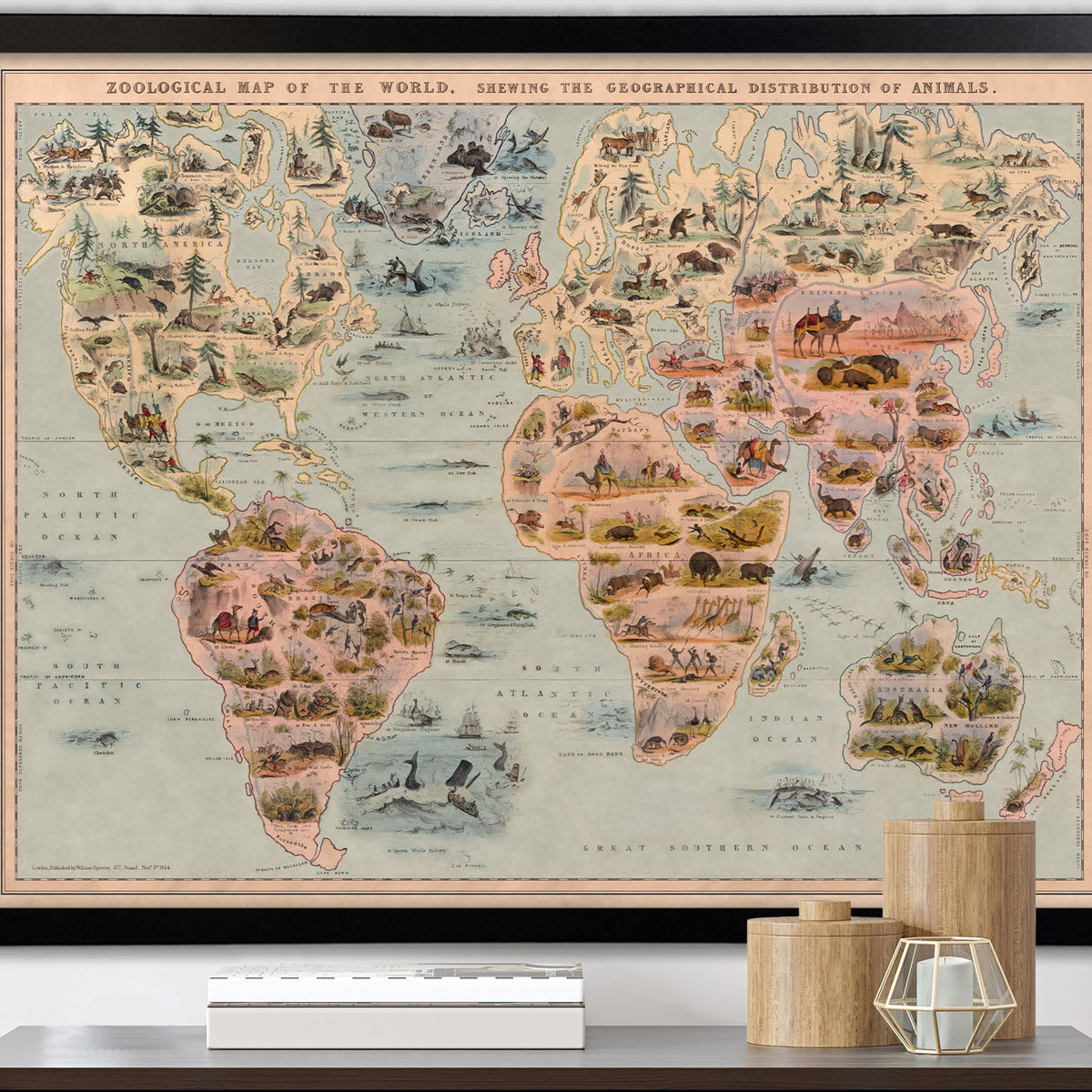 Zoological World Map – GeoJango Maps