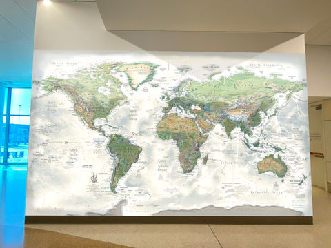 World Map Wall Decal - a physical map of the world with countries ...