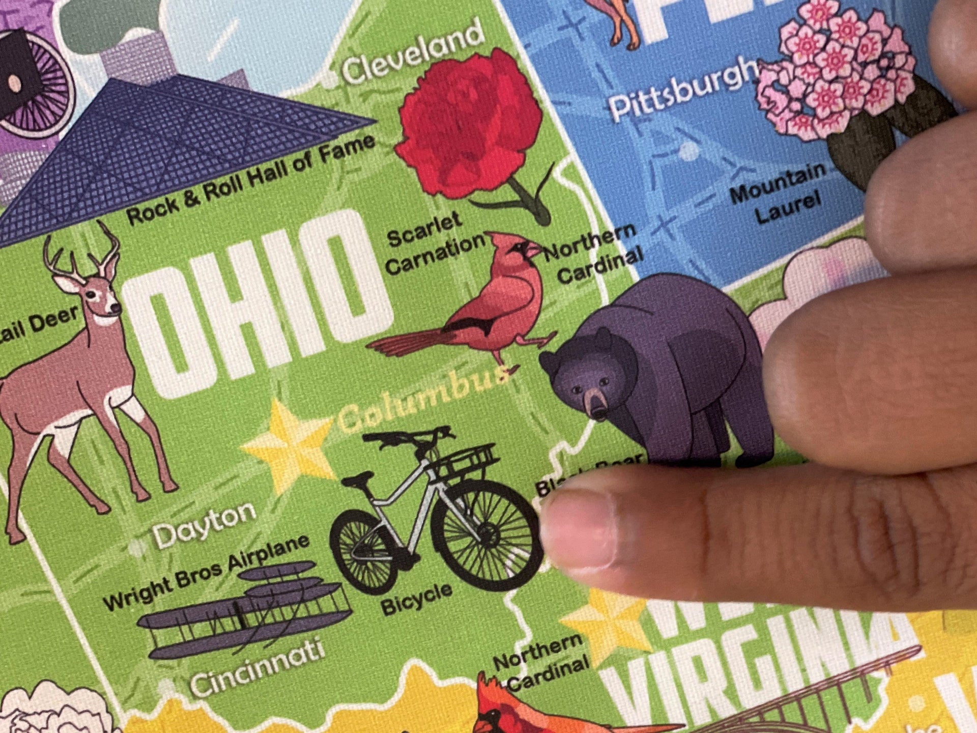 USA Map with States and Cities - Fabric Kid Map – GeoJango Maps