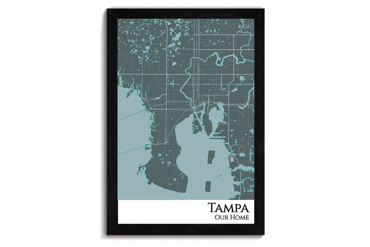 Tampa Florida City Push Pin Map – GeoJango Maps