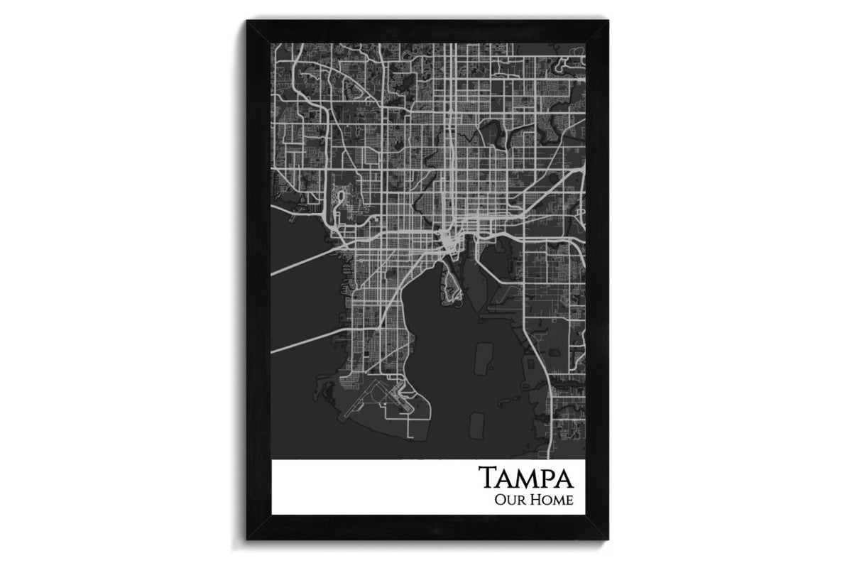 Tampa Florida City Push Pin Map – GeoJango Maps