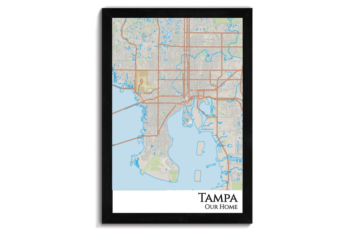 Tampa Florida City Push Pin Map – GeoJango Maps